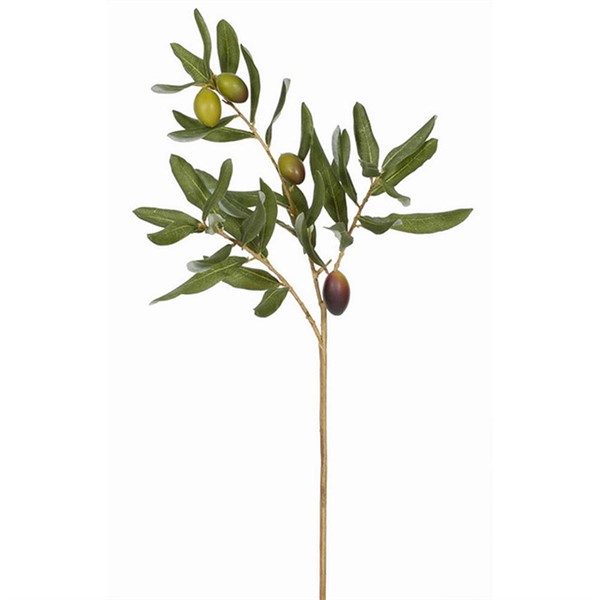 Olive Stem - The Cotswold Company
